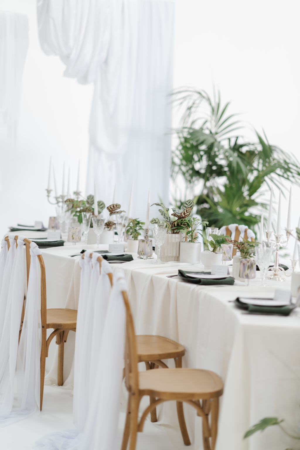 Why Plants Are the Secret To A Beautiful, Sustainable Wedding - Polka ...